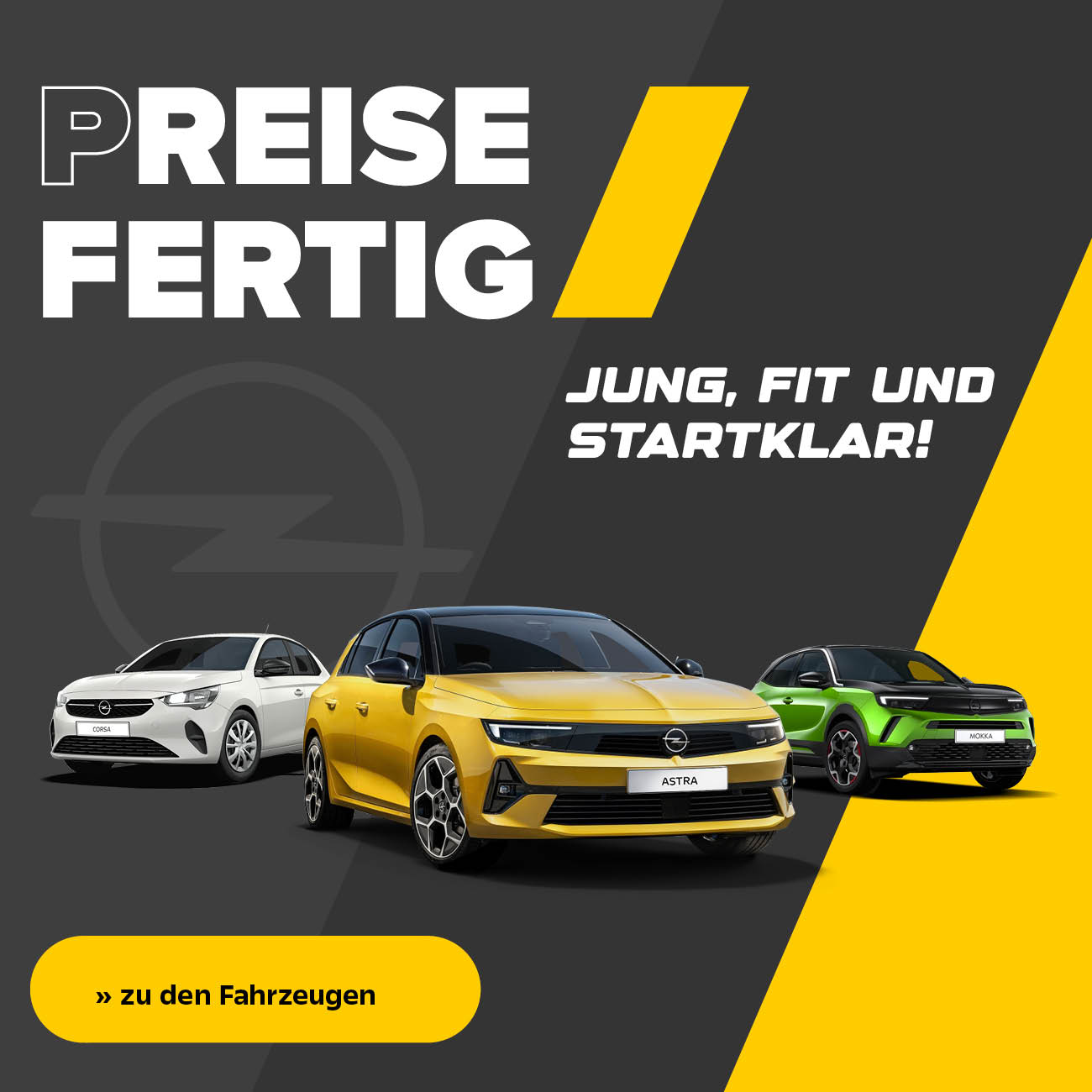 Fahrzeug-Angebote | Auto Schott GmbH & Co. KG