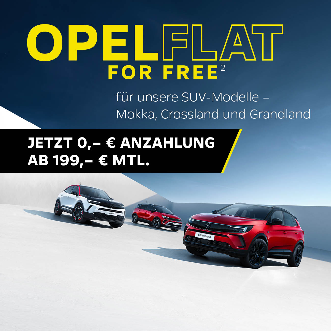 Fahrzeug-Angebote | Auto Schott GmbH & Co. KG